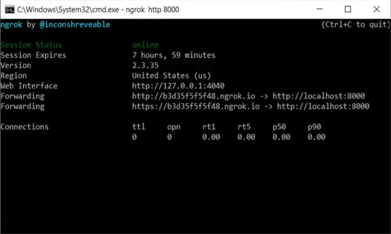 Ngrok: A Free and Easy Online Deployment Service
