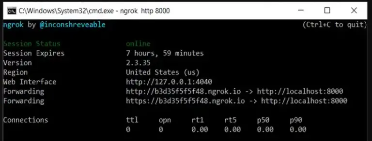 Host Local Web Project using NGROK: Django, Flask, ReactJS, Spring Boot ...